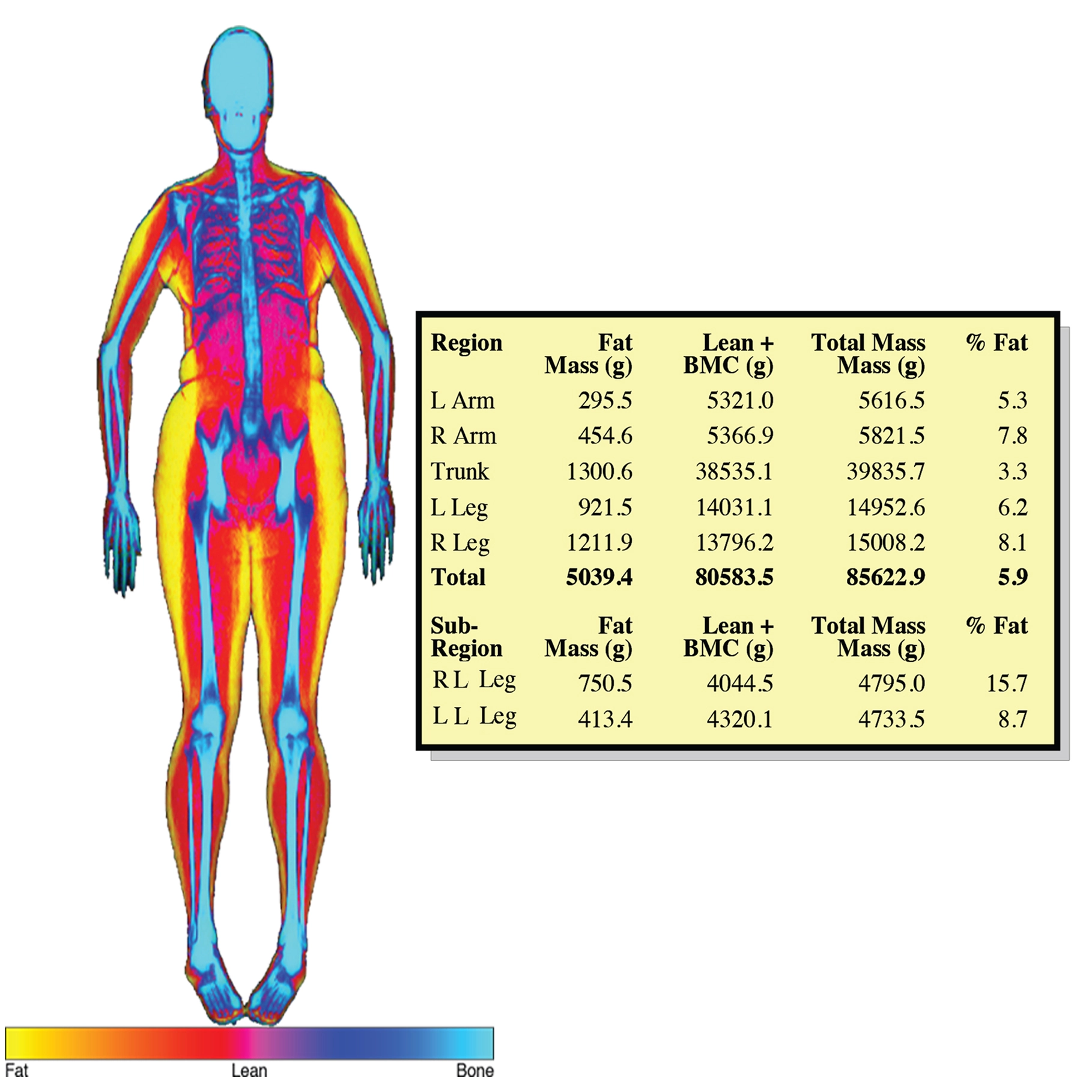 PDF Links Helpful PDFs Body DEXA Fit PDF Links Helpful PDFs Body DEXA Fit